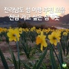 국내 전라남도 섬 여행지 추천 모음 Best 낭도임자도가우도생일도연홍도우이도선도 네이버 블로그